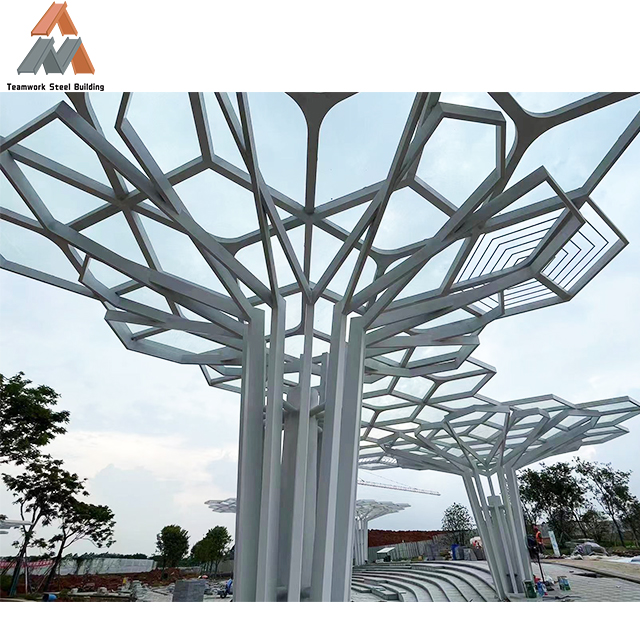Light Gauge Steel Frame - Foshan Teamwork Steel Structure Co., Ltd.